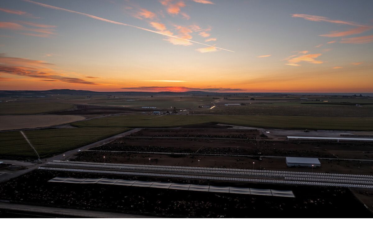 Celebrating Earth Day at Royal Family Farming: Regenerating the Land ...