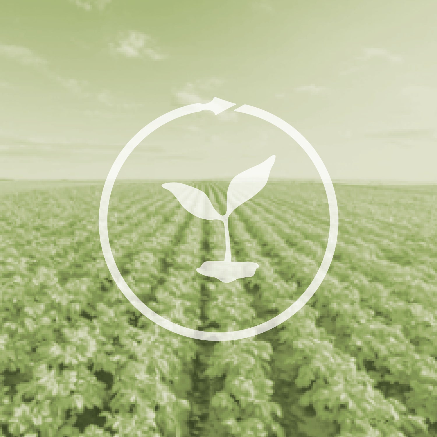 Royal Family Farms | Regenerative Farm to Table Market