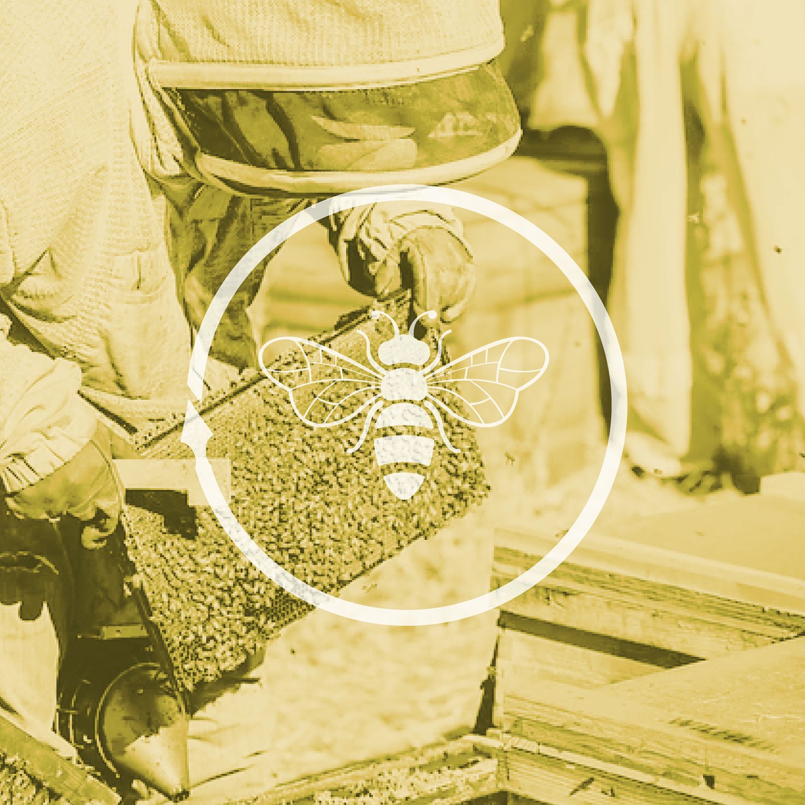 Royal Family Farms | Regenerative Farm to Table Market