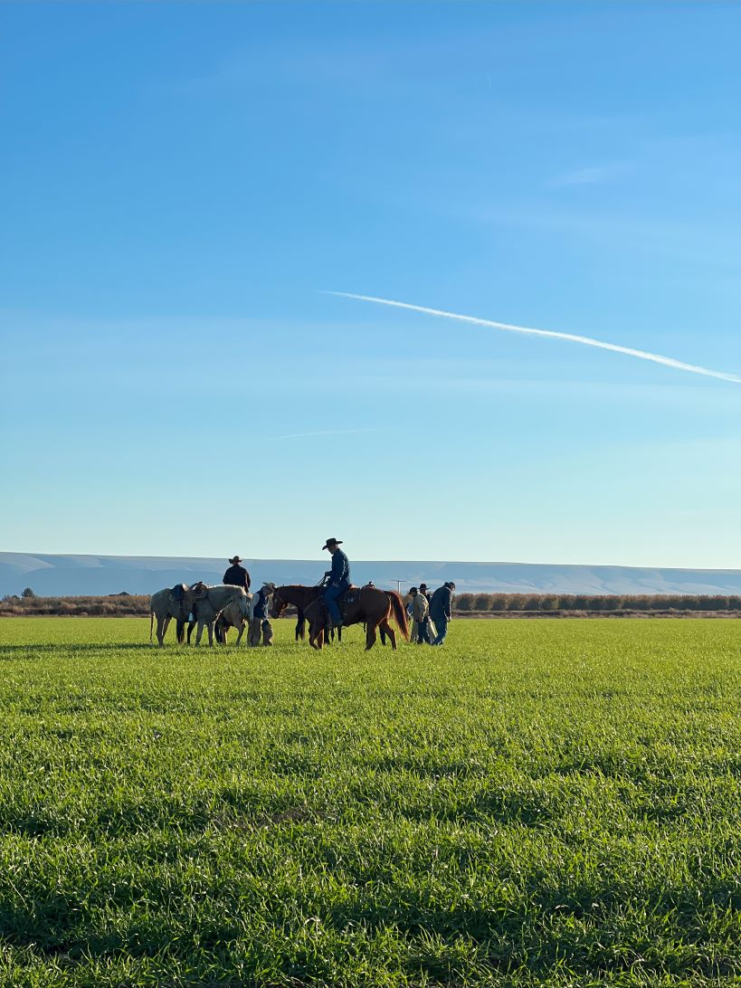 Ranch – Royal Family Farms